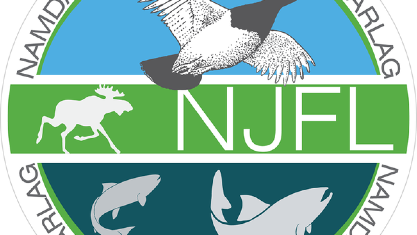 Introjakt, bruk av fuglehund i fjellet - Namdalseid JFL